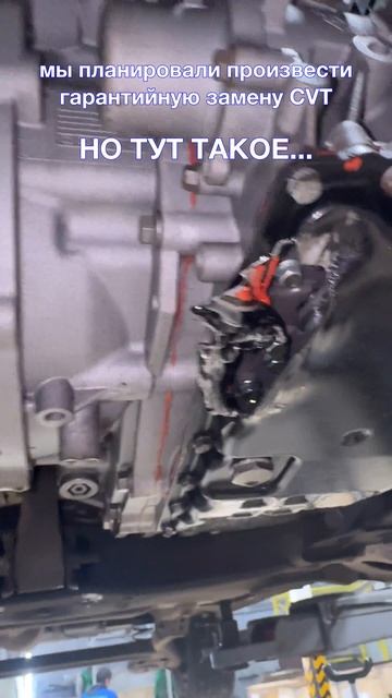 Интересно, найдут ли виновника...