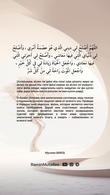 📖 Nº10 ДОСТОВЕРНЫЕ МОЛИТВЫ ПРОРОКА ﷺ