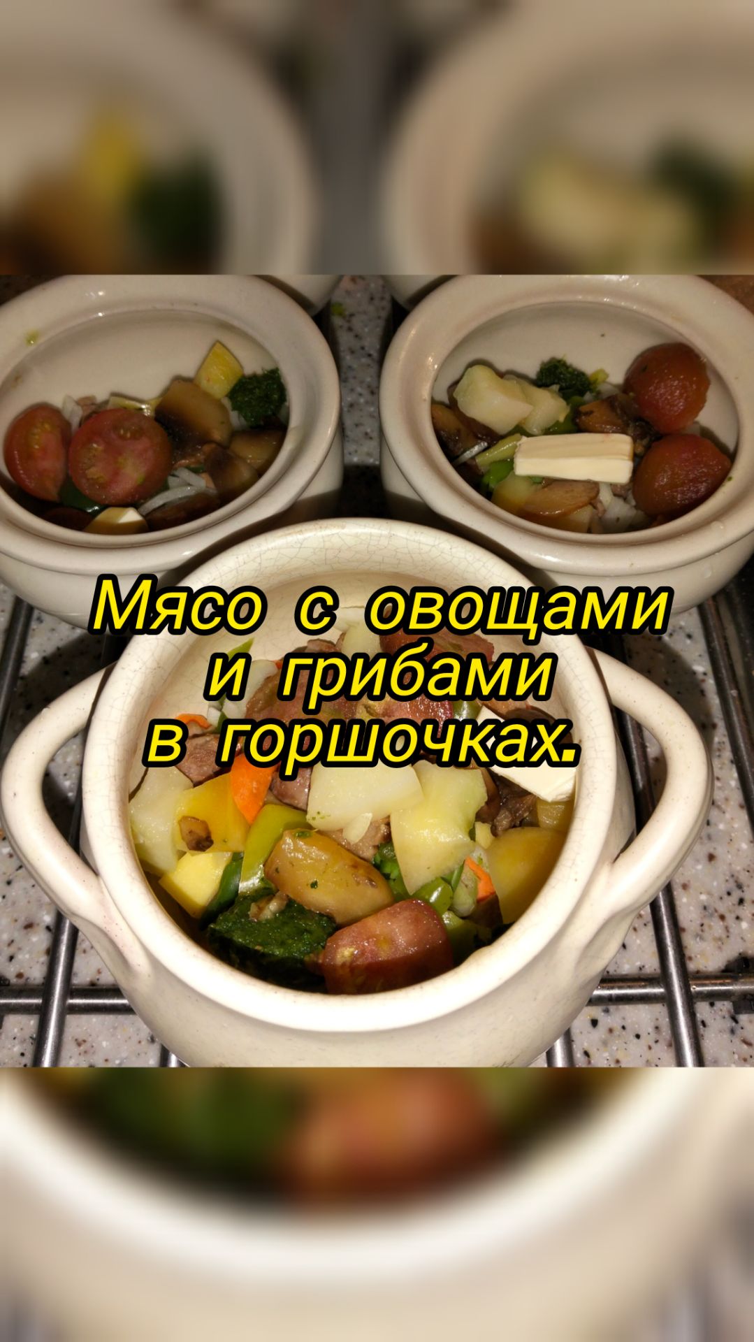 Горшочки с мясом, овощами и грибами.