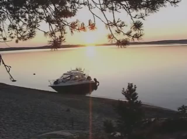 Каких Лучепёрых рыб из класса Актиноптеригии —Actinopterygii можно встретить в Ладожском озере ?