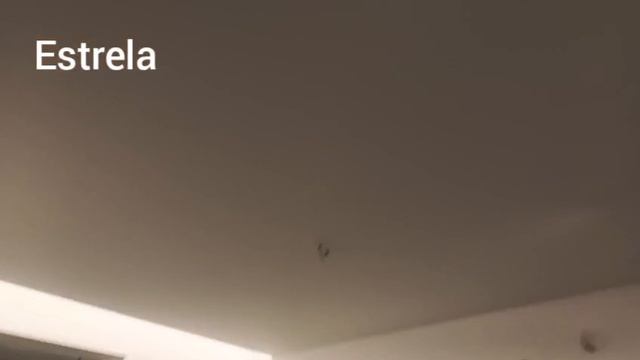 Световые линии в натяжном потолке