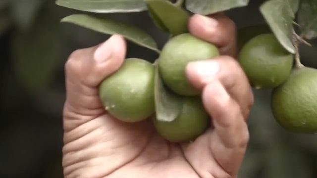 Что посмотреть в Перу.