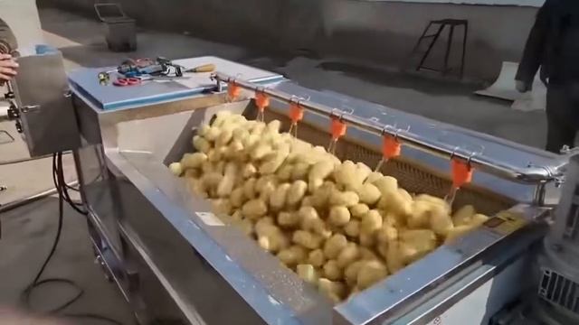 Машина для очистки корнеплодов GB-1000