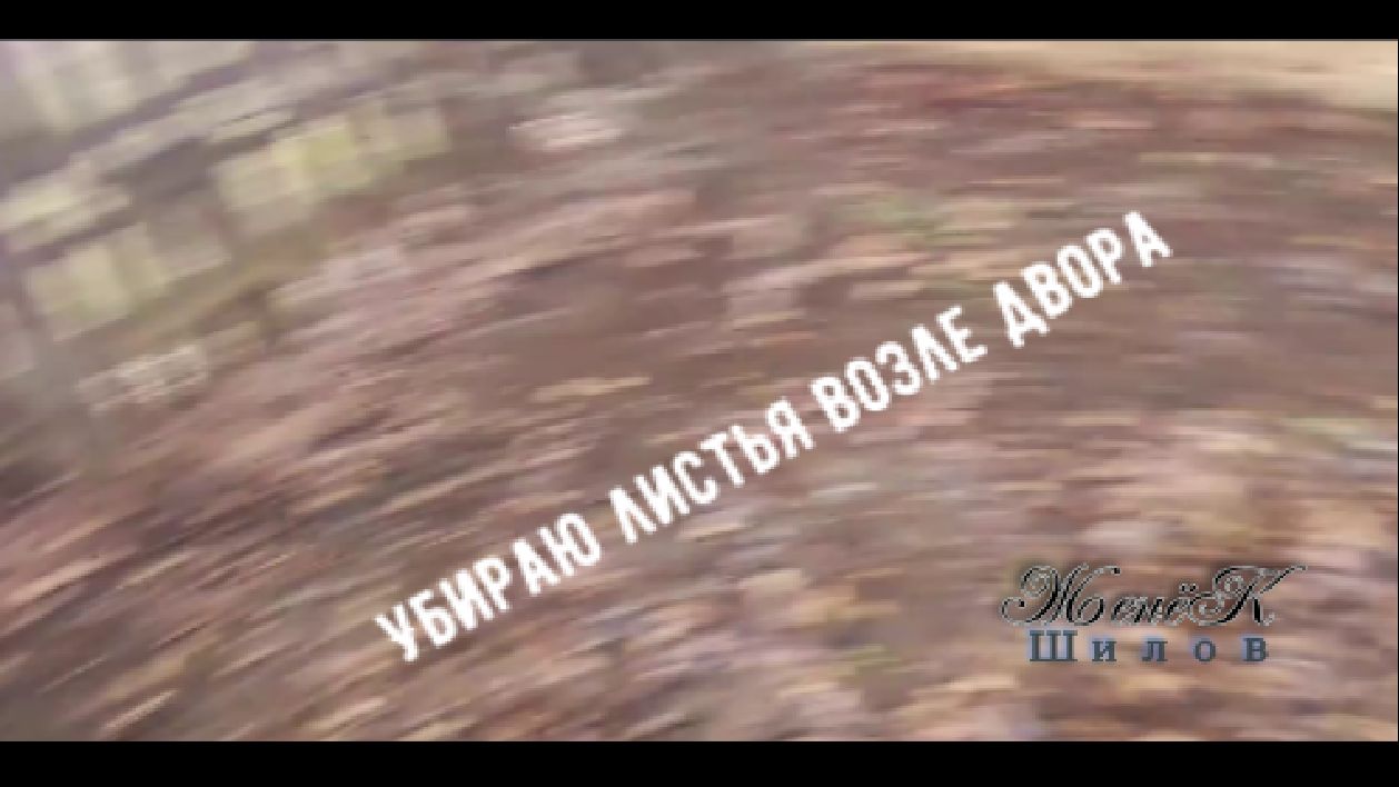 Убираю листья возле двора