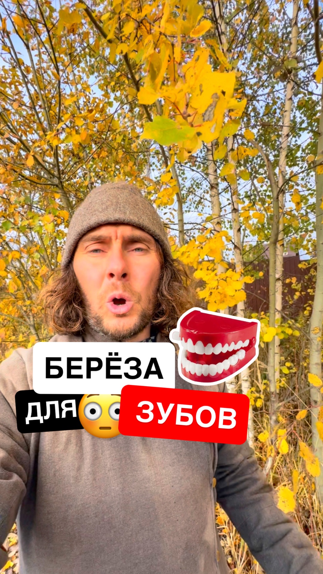 Что такое ксилит из рекламы жвачки в 90-е?