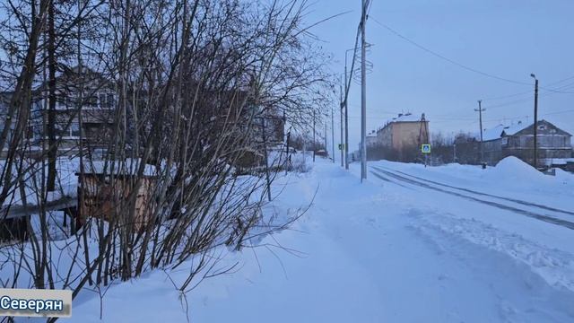 Северный городок за полярным кругом. Ямало-Ненецкий АО Лабытнанги улица Школьная ЖизньСеверян. 2025