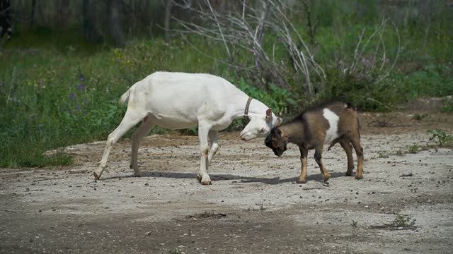 Старт в сельское хозяйство