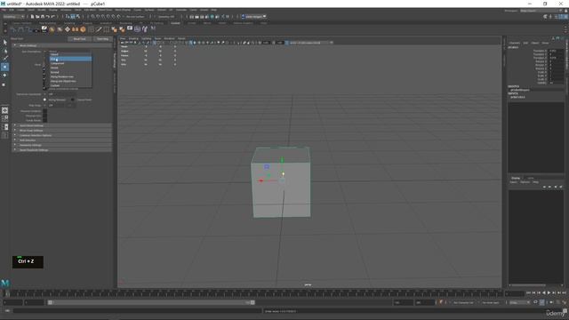 6. Maya-Layout And Navigation