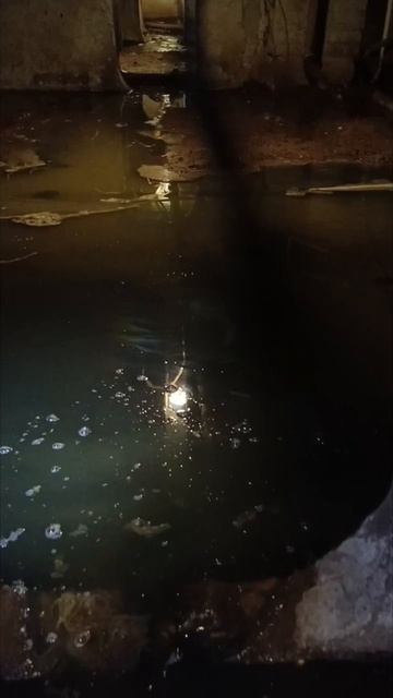 ОХРЕНЕТЬ,А ТУТ ПОТОП.