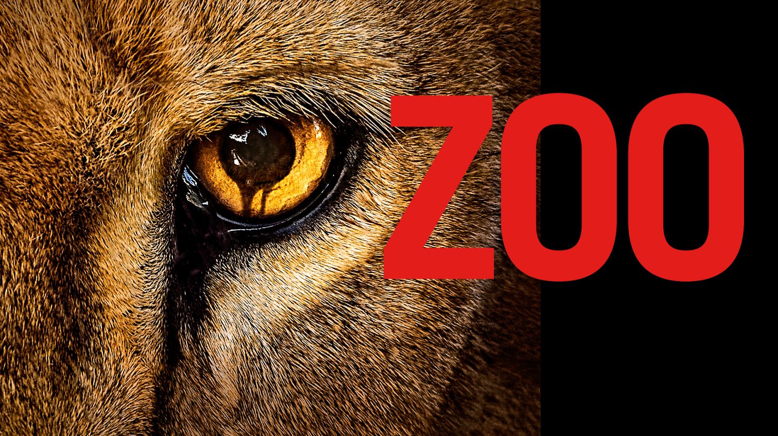 Сериал Зоо-апокалипсис / Zoo  — 1 сезон 8 серия