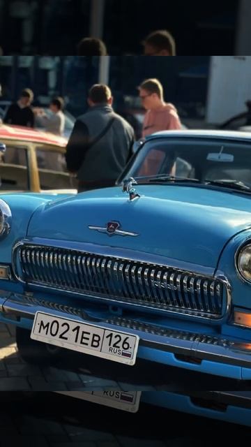 Дмитриченко заценил автомобиль Волга из Ставрополь