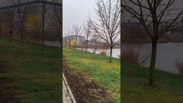 Мы с вами снова на Везёлке 28.11.25.