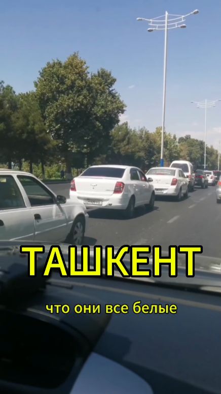 На дорогах Ташкента