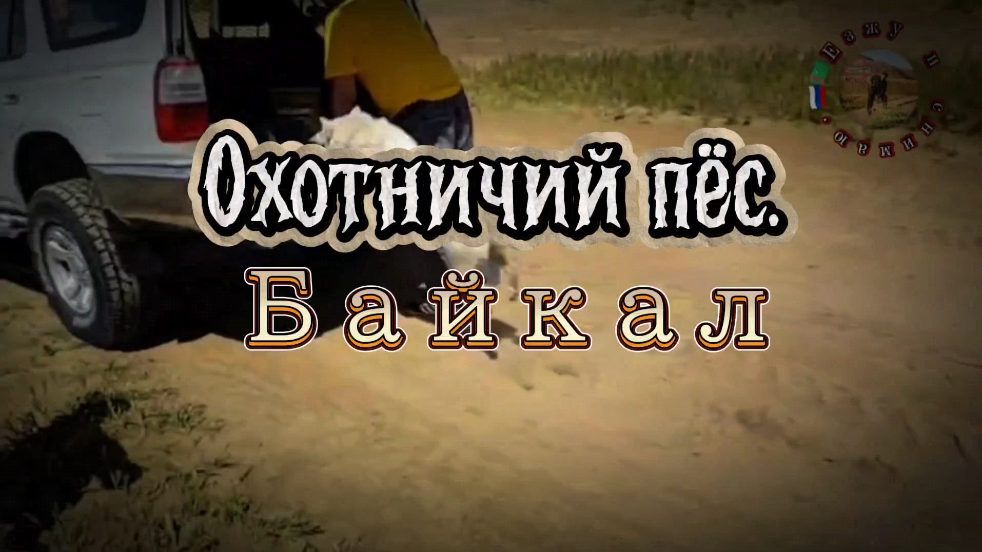 #Умный_пёсик #Учёный_пёс #Охотничья_лайка #Прогулка_с_собакой_на_природе #пёсики