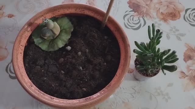 Что купила в 5ке// Люська// Вопрос .