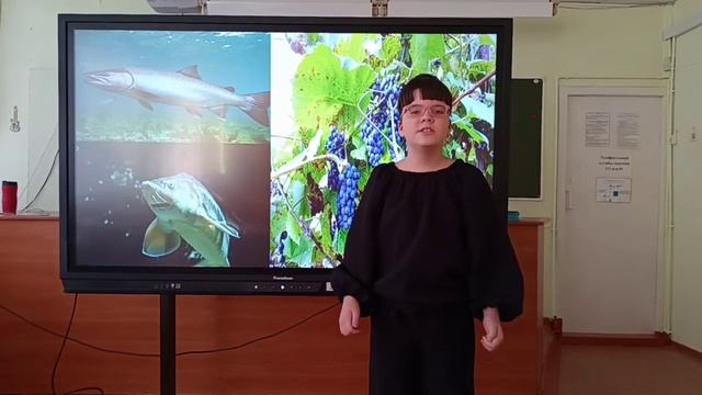 Антонина Кухтина, стих «Хабаровский край»