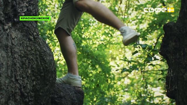 А что там есть? В Георгиевском округе