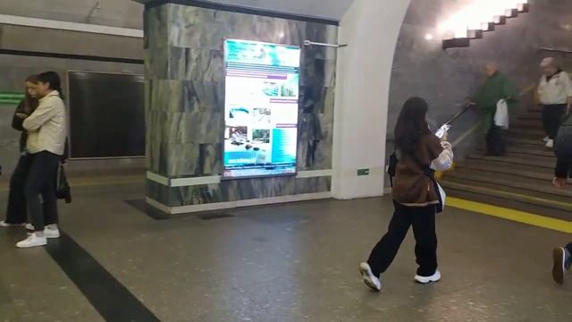 от ст. метро Василеостровская до ст. Приморская, Ленинград (СПб), Зелёная Линия, пассажиры,