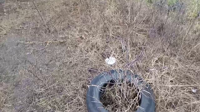 По саду гуляя... Осень провожая...