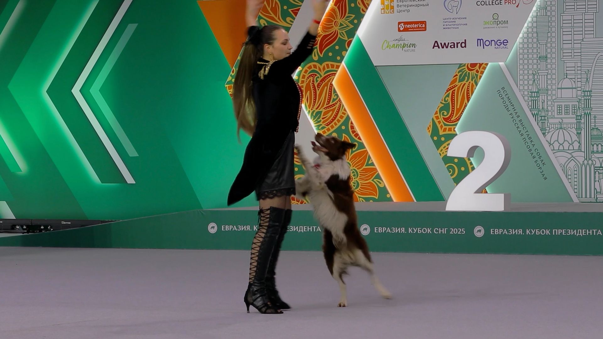 Танцы с собаками на выставке собак Евразия 2025