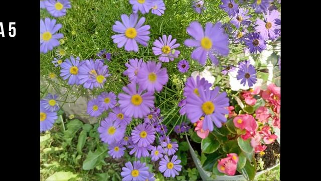 МАМЫ, С ПРАЗДНИКОМ ВАС!