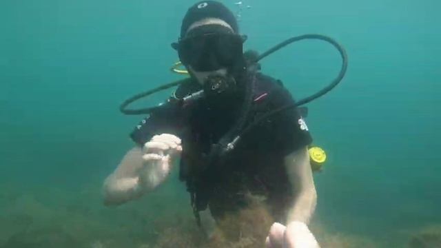 Дайвинг. Мисхор. Пляж санатория Ай-Петри.