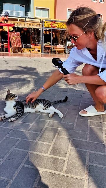 Солнце, море и тысяча мгновений | Египет | Meraki | Котики