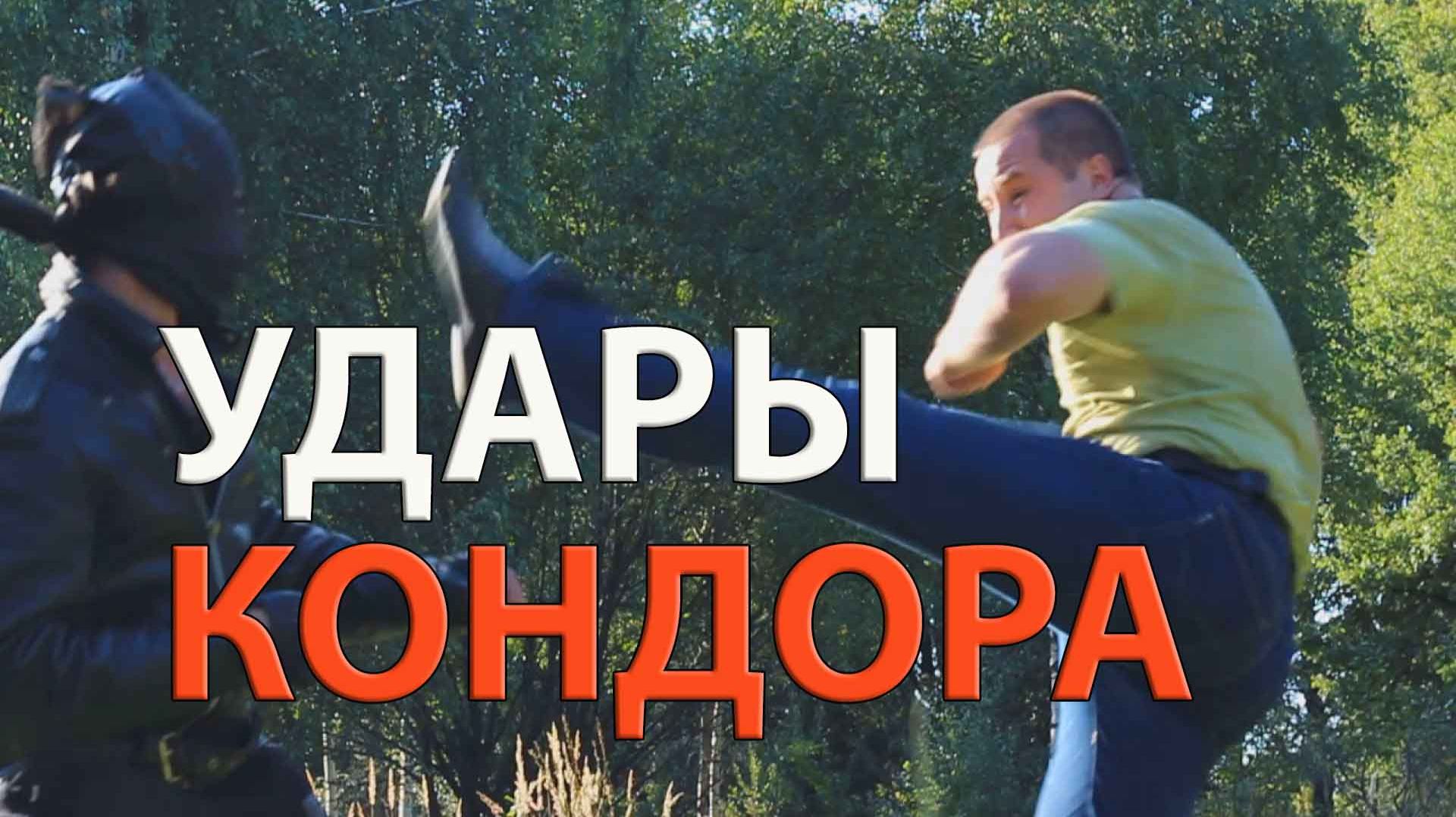 УДАРЫ КОНДОРА.
