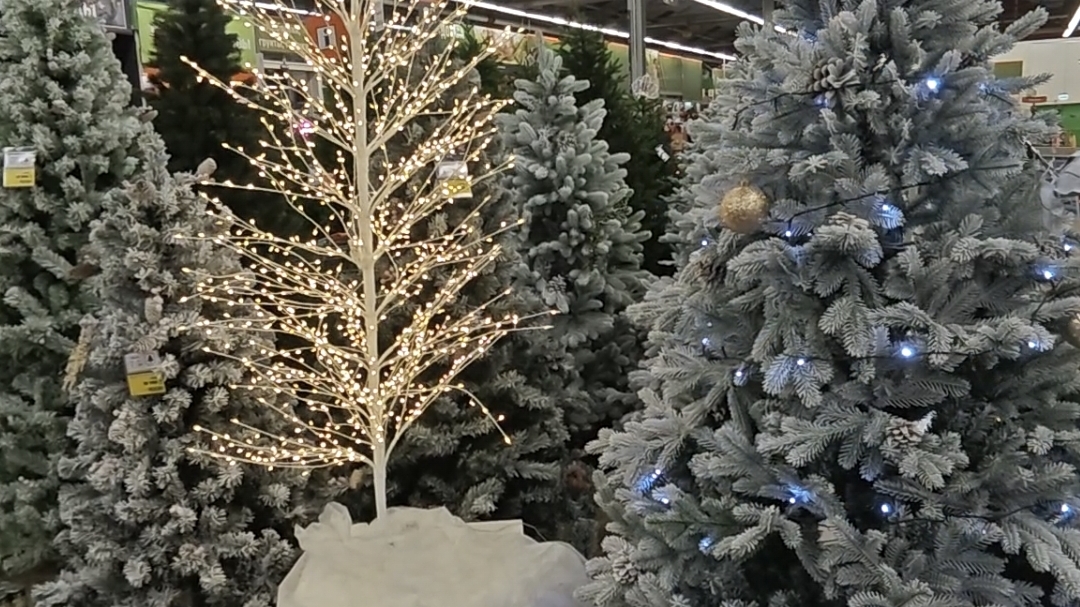 30-11-2025.Предновогодний Оби Дыбенко..