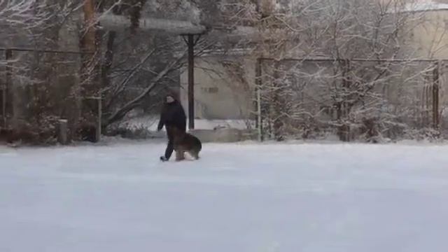 Герман Из ТД. Элементы послушания 2