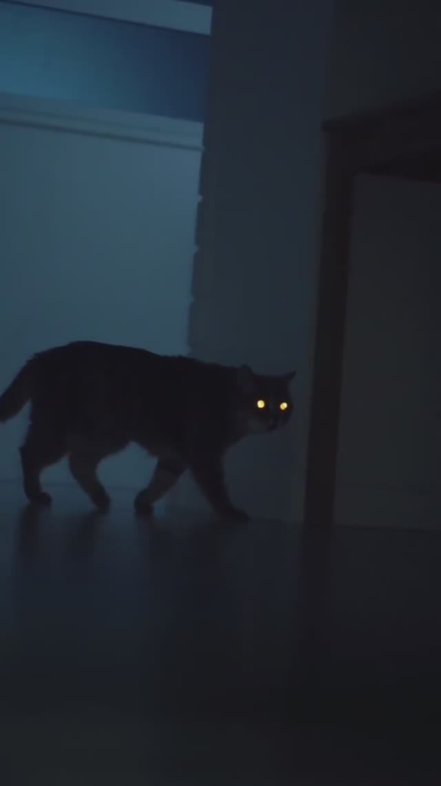 🙀 Спокойной ночи!