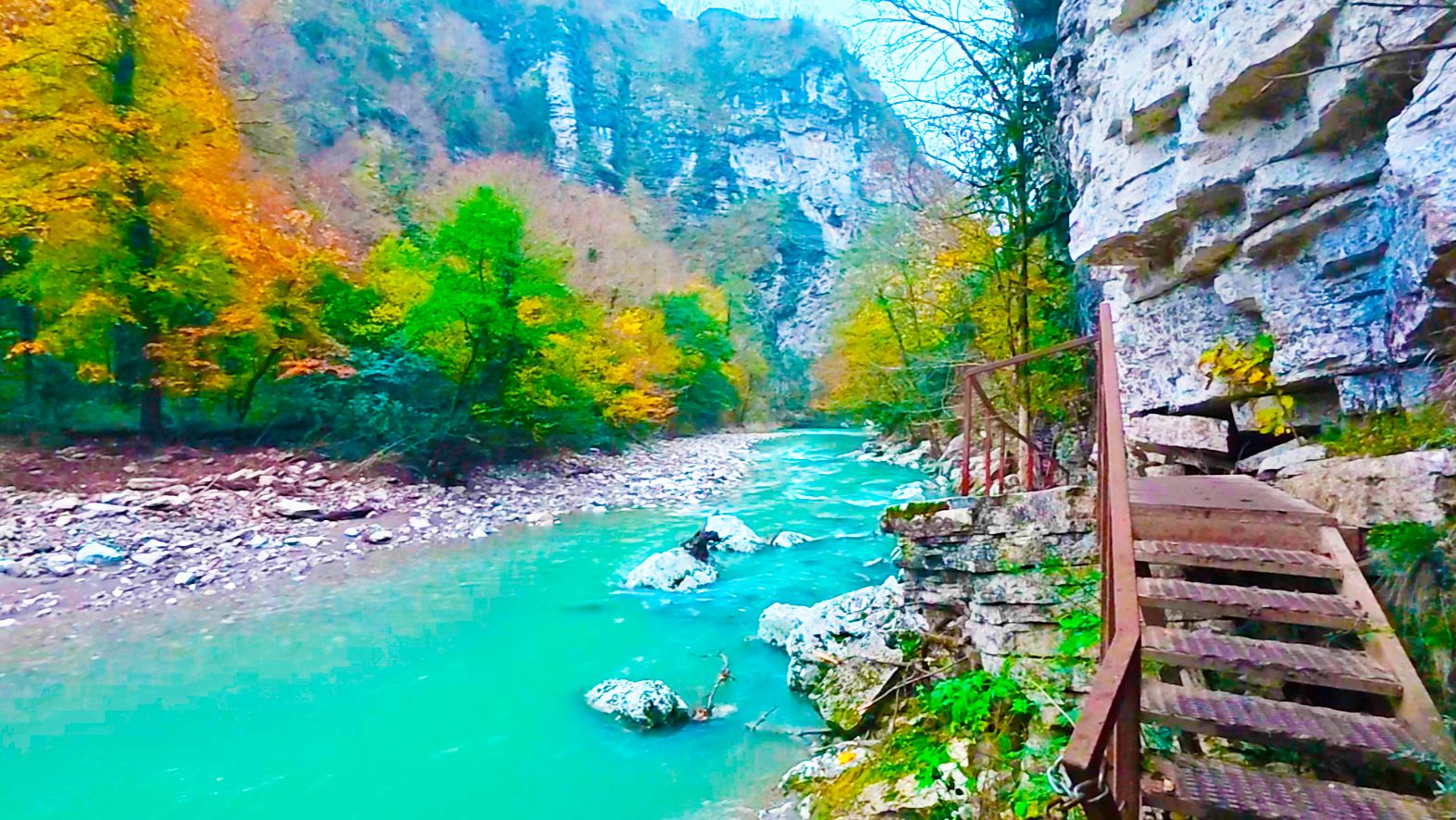 Крутое место в Сочи для пешей прогулки! Тисо-Самшитовая роща. . Кавказский заповедник