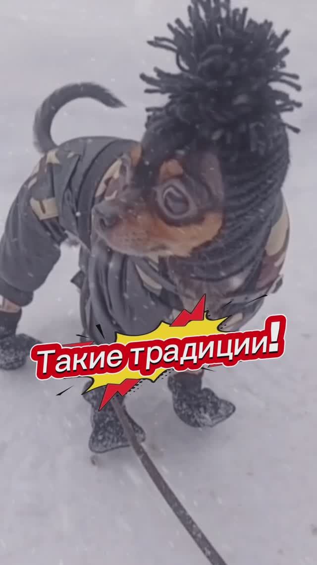 🐶 Такие традиции!