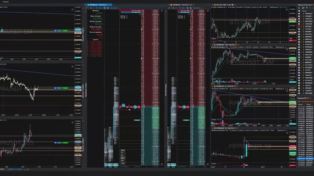 37-Pippinusdt-Long-Profit-25-11-2025-08-05-27