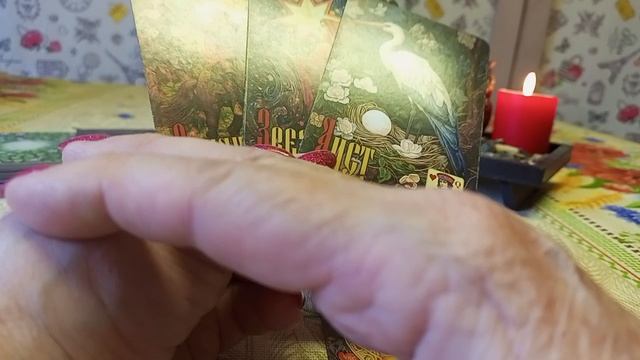 КАРТА ДНЯ НА 30 НОЯБРЯ