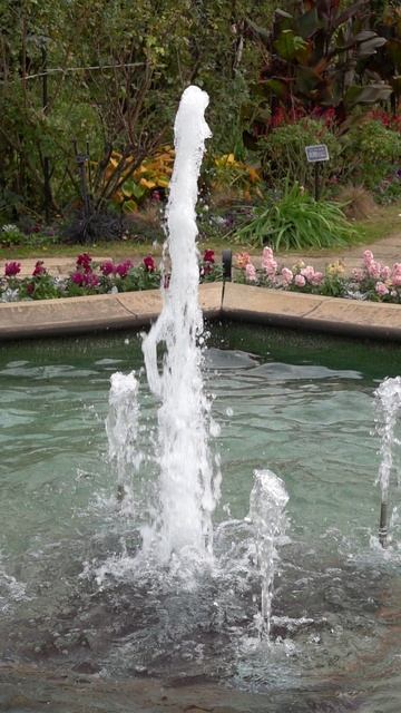 Замедлення съемка фонтана в саду роз в Йокогаме (Япония)