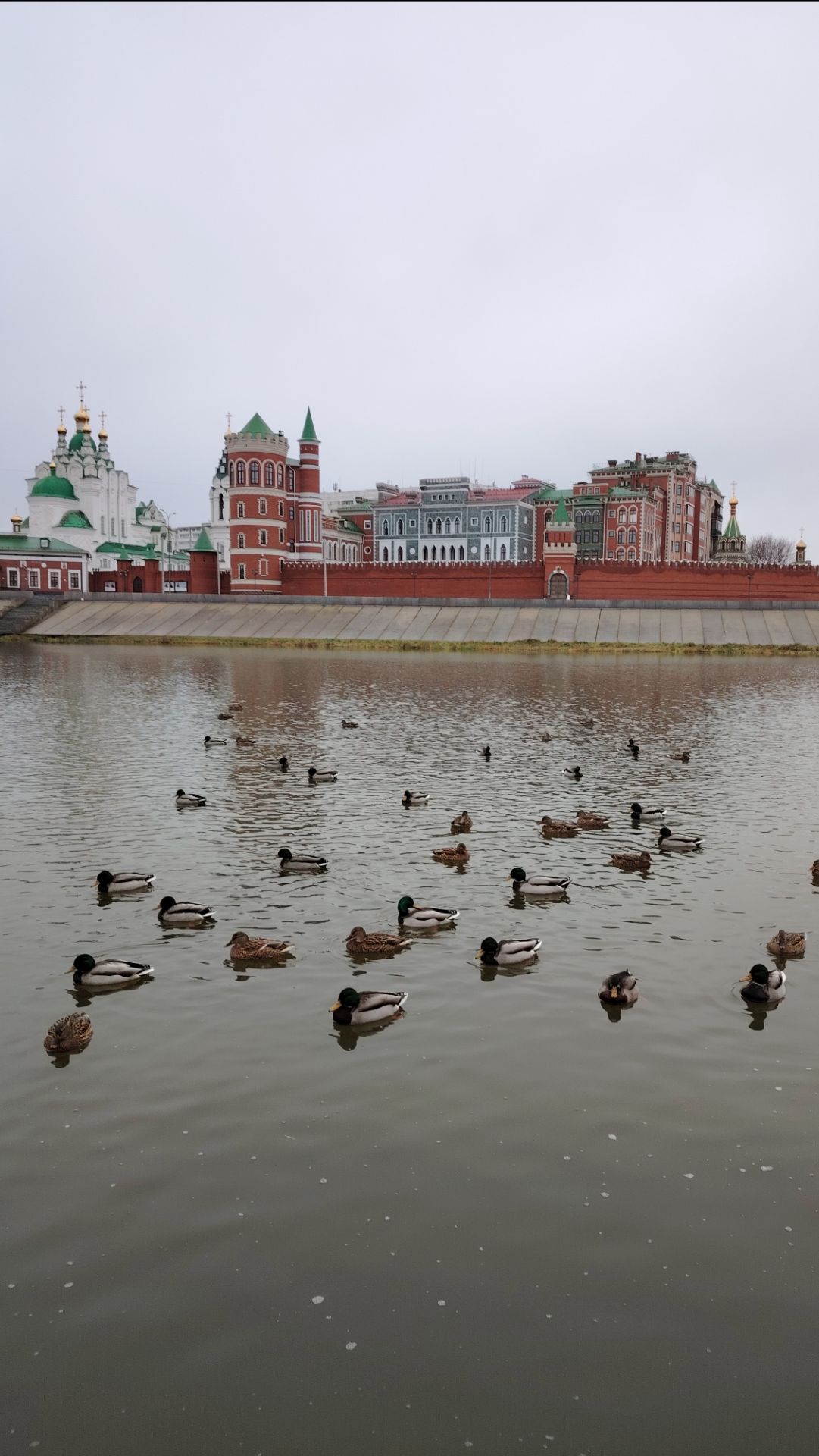 Стая уток на реке Малая Кокшага в центре Йошкар-Олы