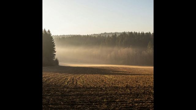 Не покину Россию