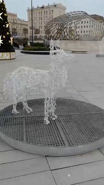 Утреннее настроение 55 / Morning mood 55 ☀️☀️☀️