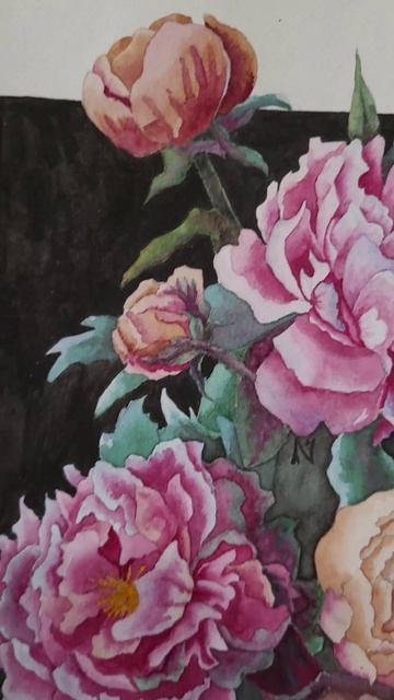 Пионы акварелью