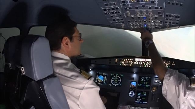 Hubert sur Airbus A330 (HubCaptain)