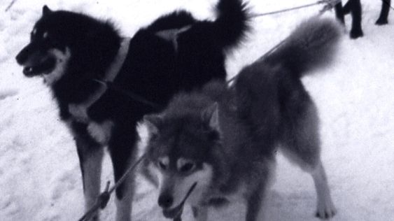 1997. Гонки в Европе. Часть первая. Дорога.