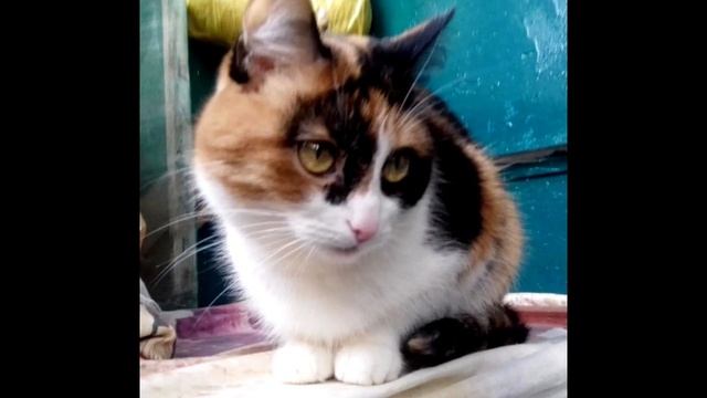 Марина Урусова. Портрет в профиль