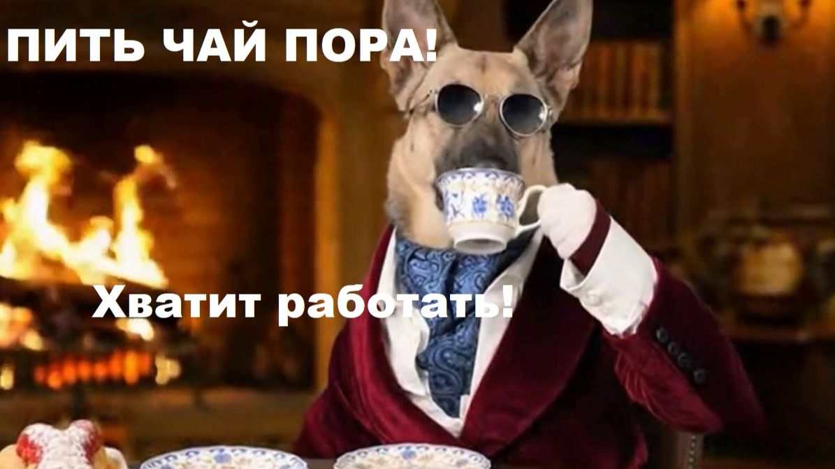 Пришло время пить чай! Собака в графской одежде пьет чай.