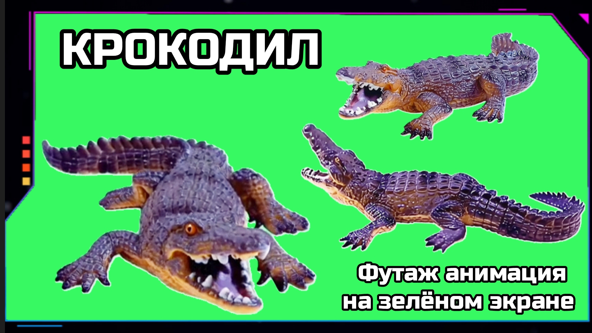 КРОКОДИЛ видео на зелёном экране. Хромакей футаж анимация GREEN SCREEN.