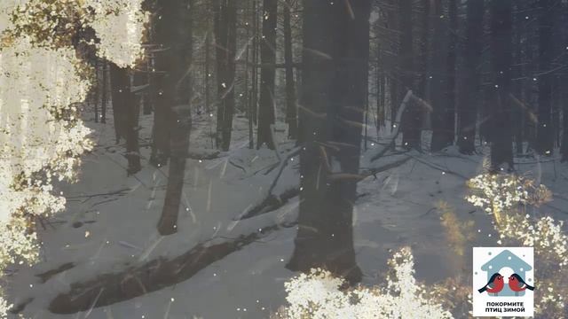 Развитие речи.  Зима