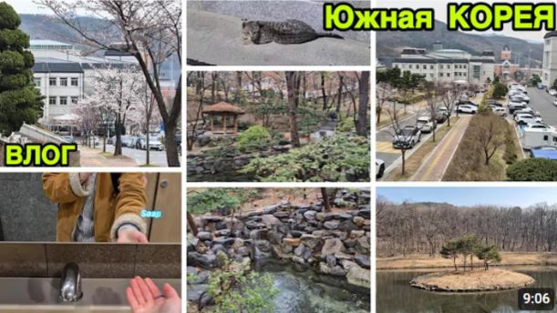 2231 ЮЖНАЯ КОРЕЯ/МАША и ГОША/ПЕРЕЕЗД в ЮЖНУЮ КОРЕЮ влог УЧЁБА