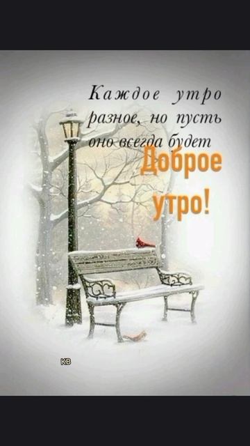 #мысли #цитаты #katyboro #афоризмы  #топ #рек #shortvideo #short   #viralshort #пожелания#доброеутро