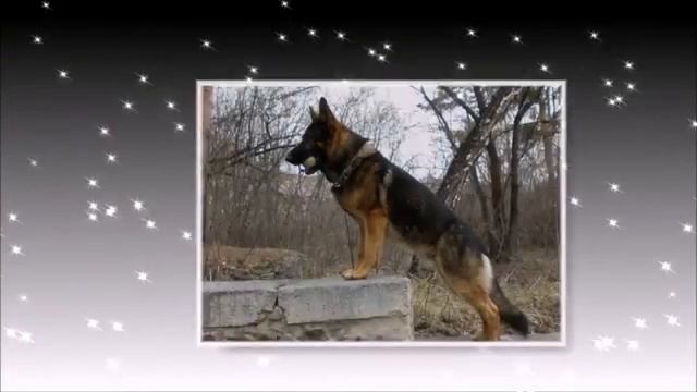 Памяти Германа