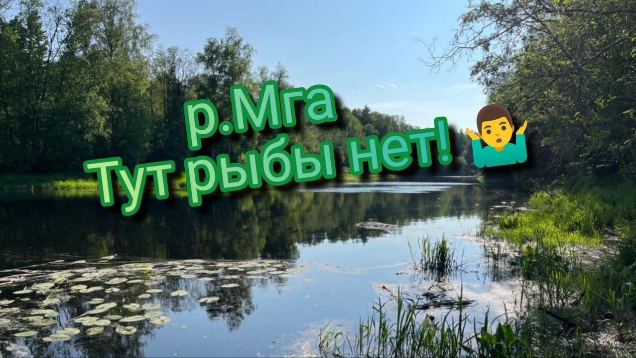 Погулял со спиннингом по р.Мга!